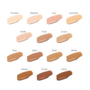 Chantecaille | Makeup | Chantecaille Future Skin Foundation | Poshmark